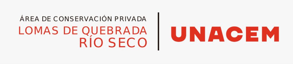 Programa: Foro virtual “Conservación de las Lomas Costeras peruanas ...