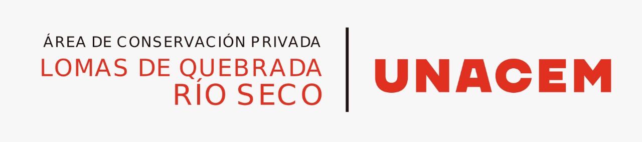 Programa: Foro virtual “Conservación de las Lomas Costeras peruanas ...